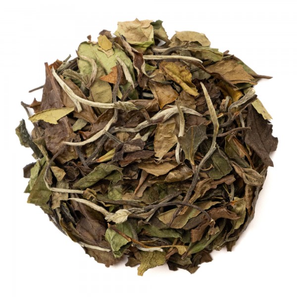 Bai Mu Dan • Bai Mu Dan